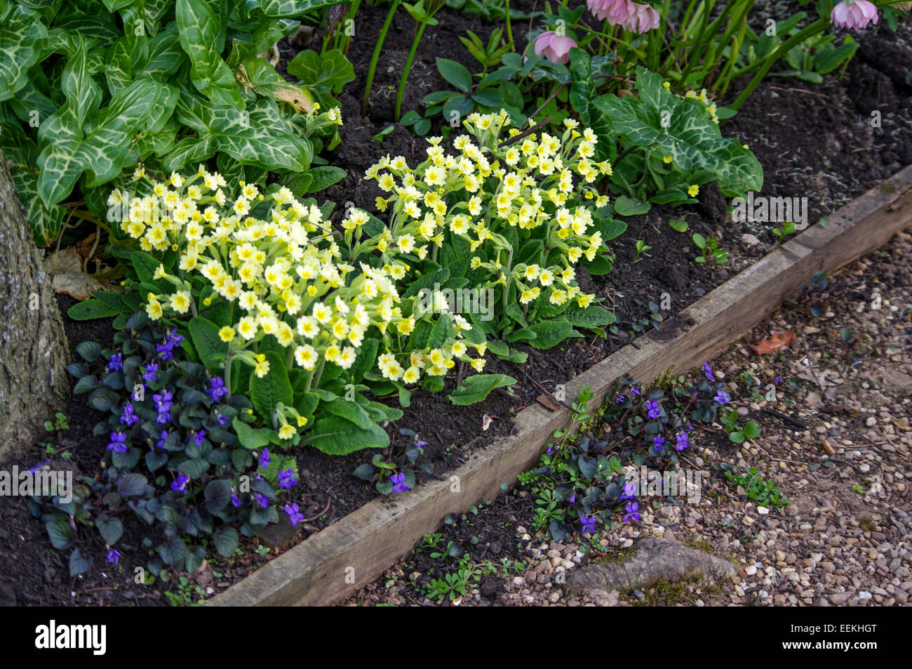 Spring garden border hi-res stock photography and images - Alamy