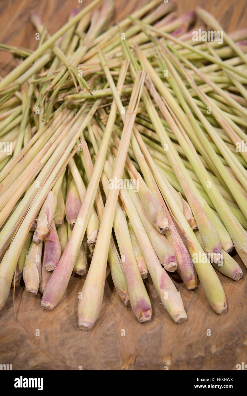 Cymbopogon citratus hi-res stock photography and images - Alamy