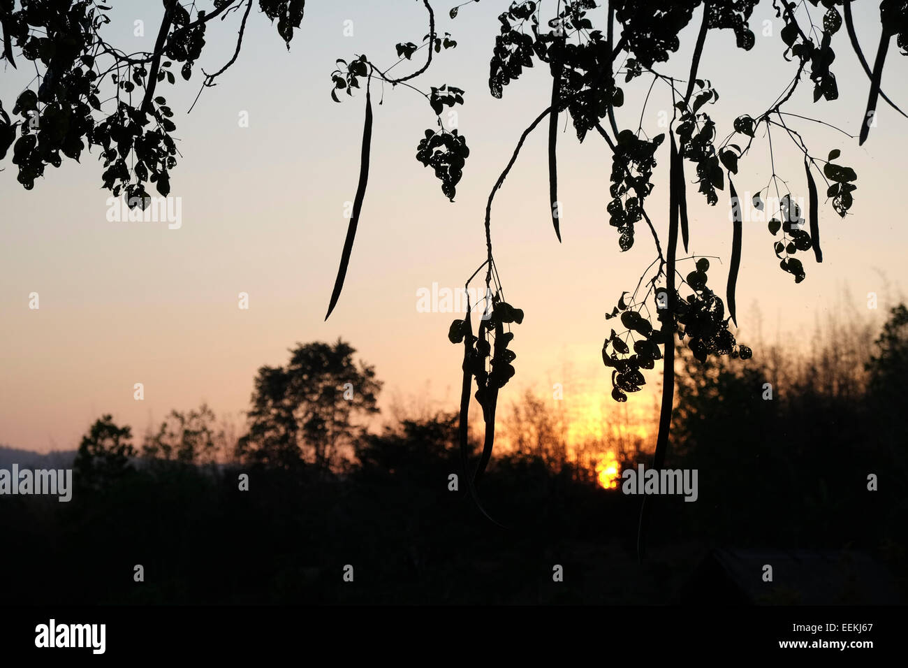 Phu ruea hi-res stock photography and images - Alamy