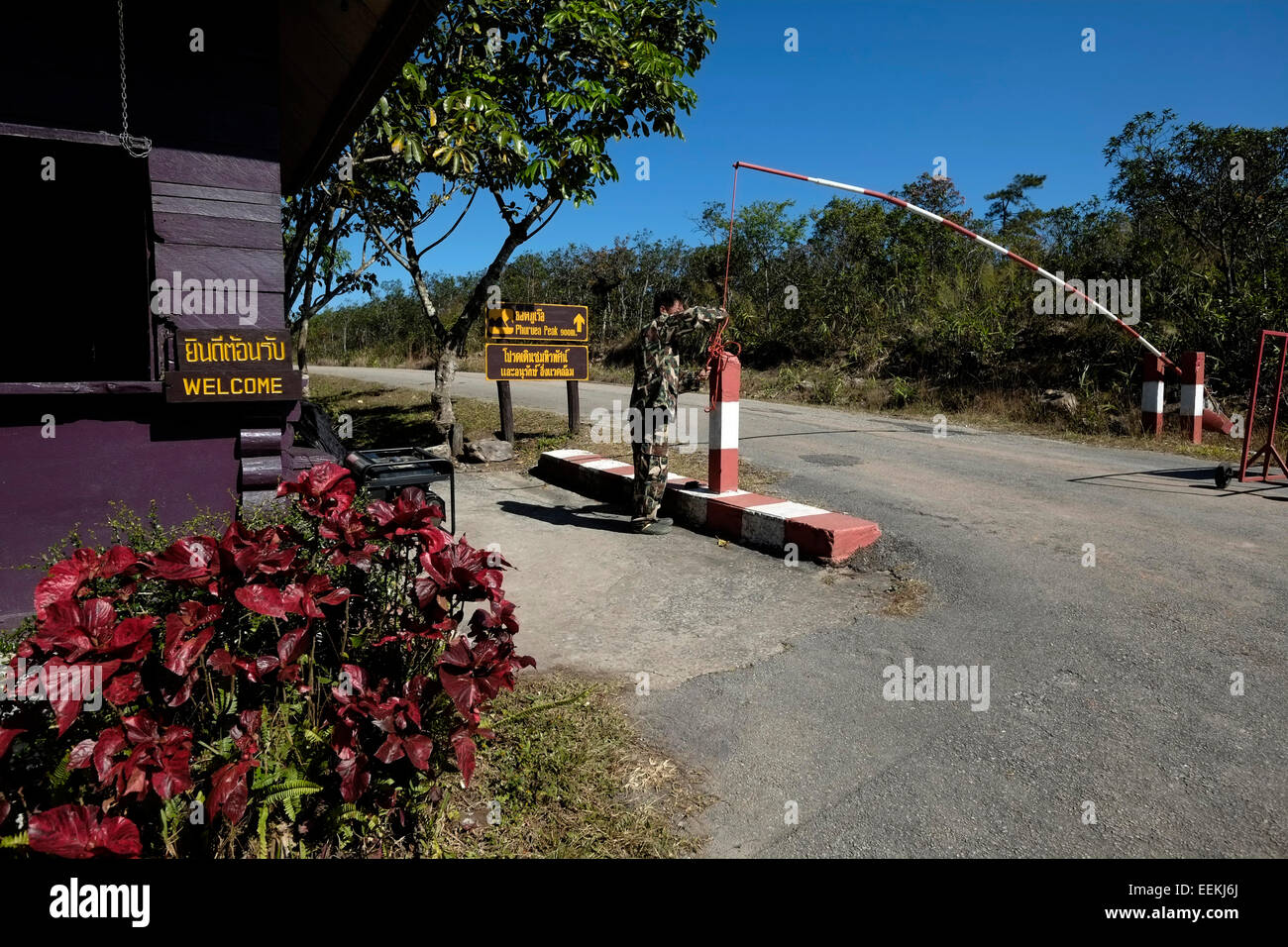 Phu ruea hi-res stock photography and images - Alamy