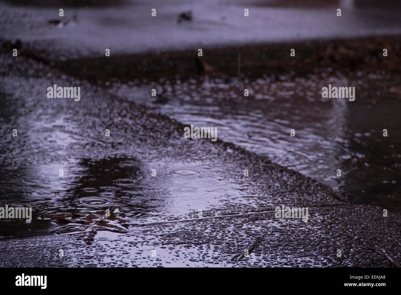 Rainy pavement hi-res stock photography and images - Alamy