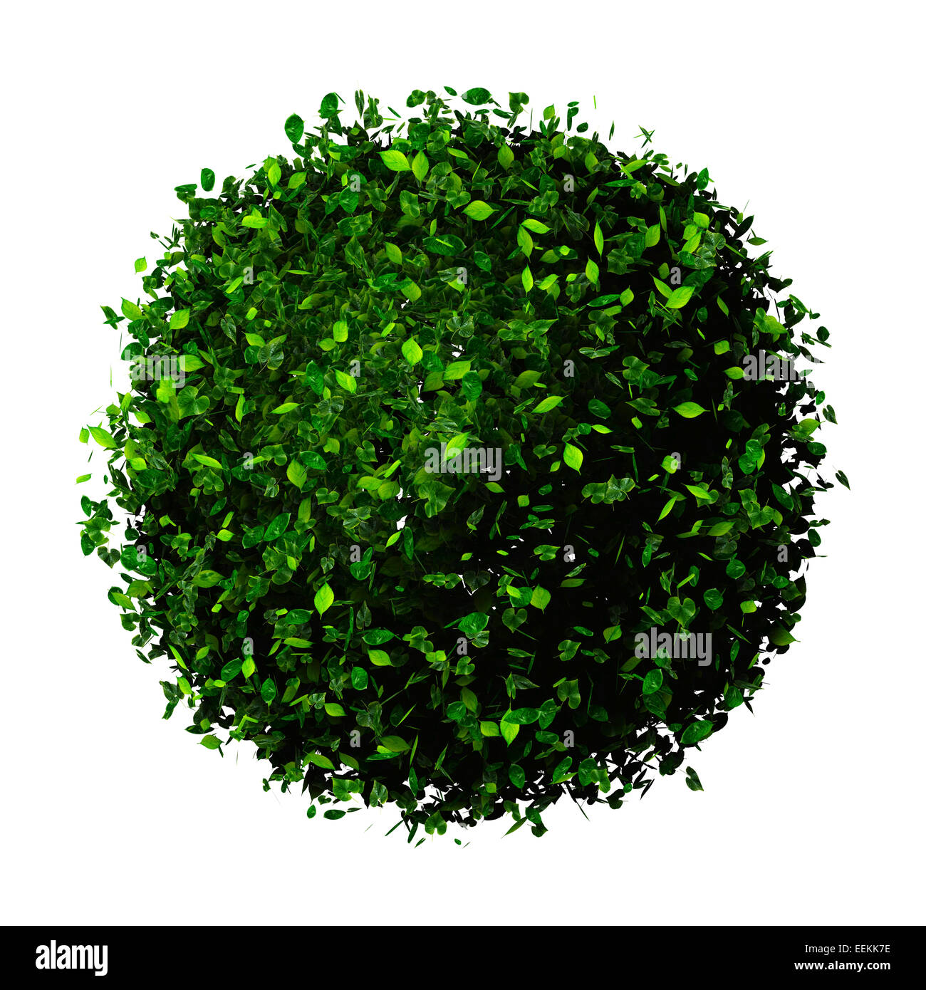 Planet earth made of leaves. Eco globe. Ball of green leaves isolated ...