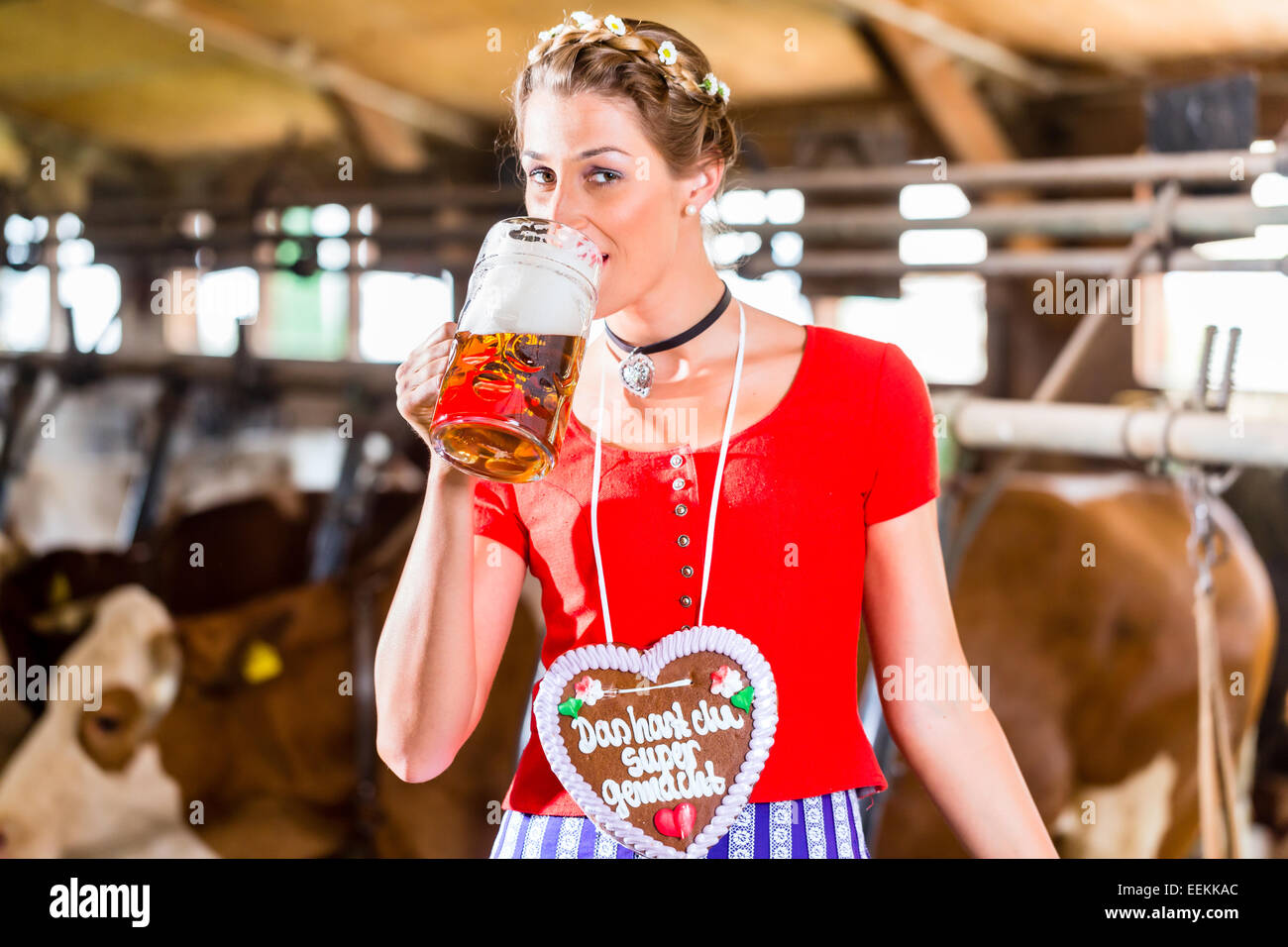 Bavarian woman with Dirndl dress, gingerbread and beer in cowhouse ...
