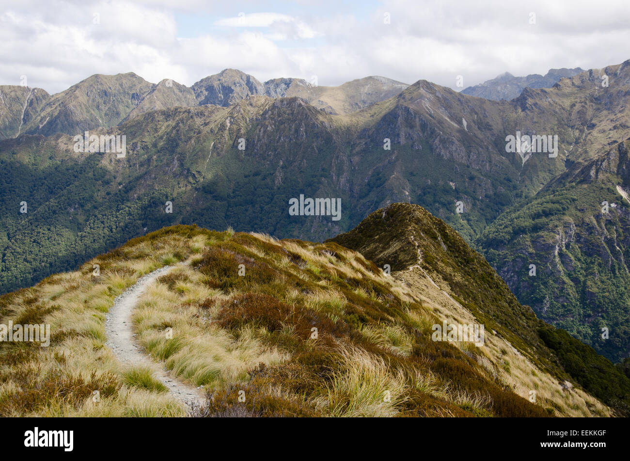 Kepler track hi-res stock photography and images - Alamy