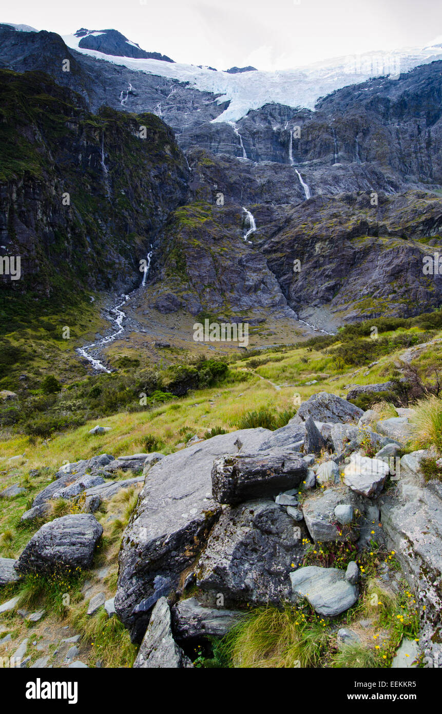 The rob roy glacier track hi-res stock photography and images - Alamy