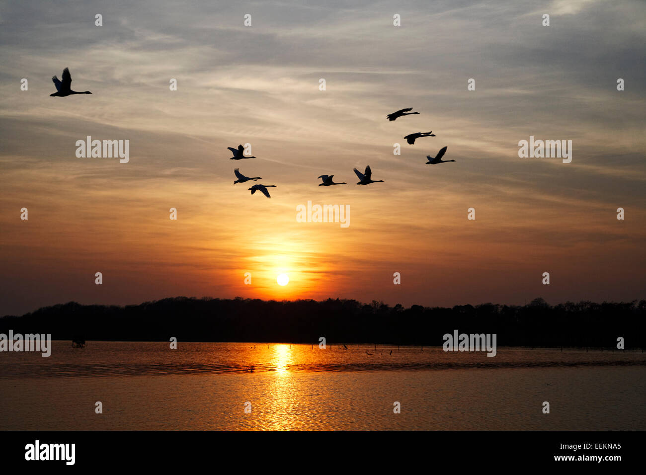 sun setting over cave hill and belfast lough northern ireland Stock ...
