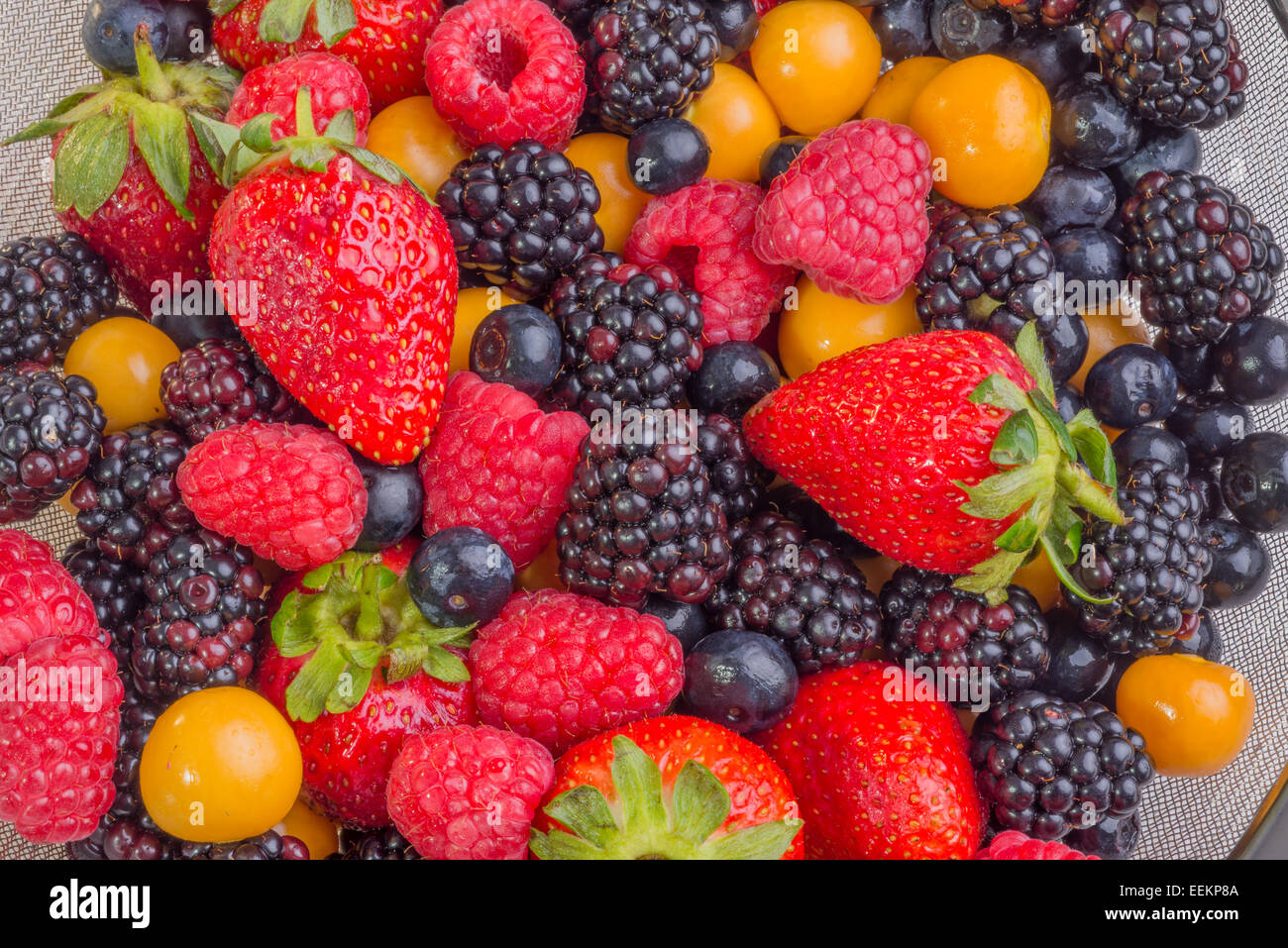 Up Close view of fresh berries of different types, all mixed together ...