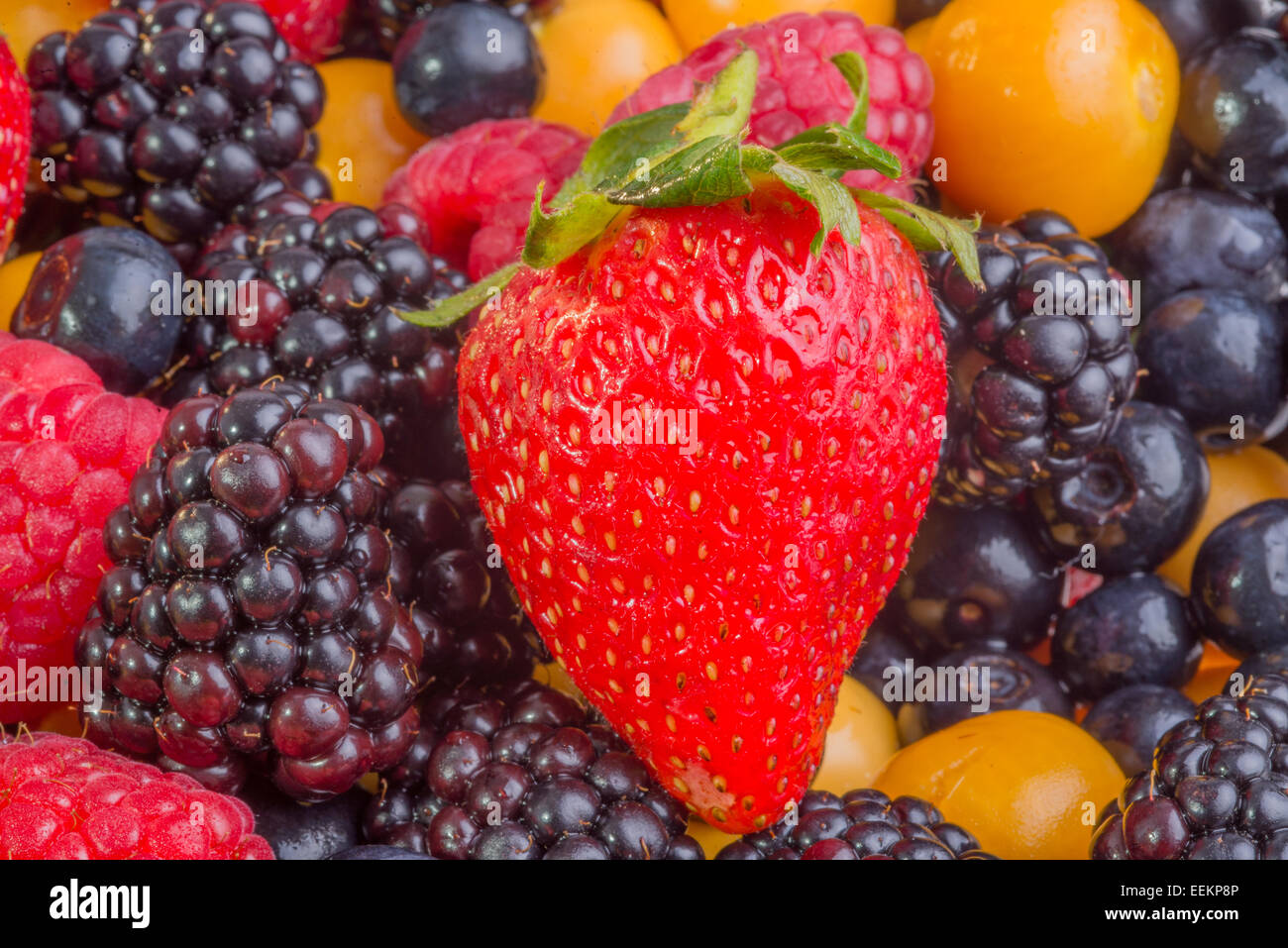 Up Close view of fresh berries of different types, all mixed together ...