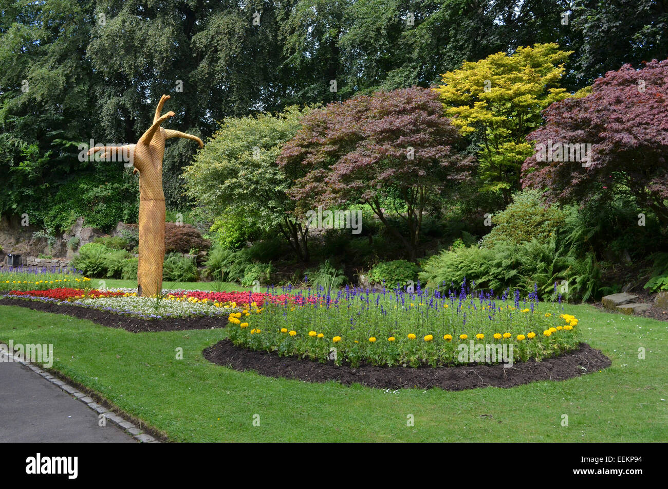 Lycopod hi-res stock photography and images - Alamy