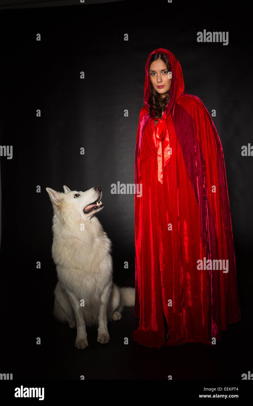 Labrador blanc hi-res stock photography and images - Alamy