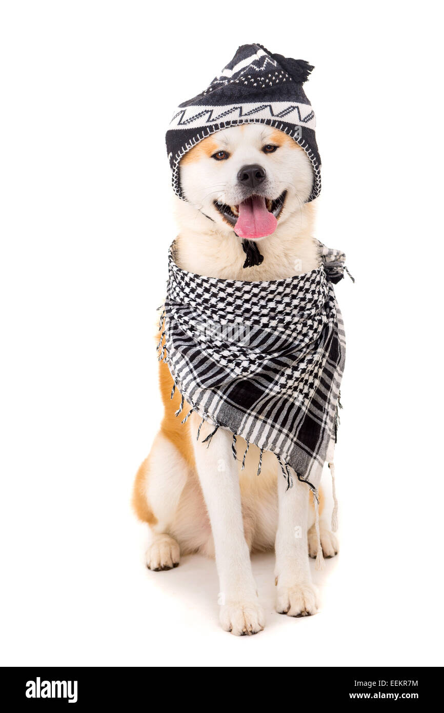 Summer holidays portrait young beautiful Cut Out Stock Images ...