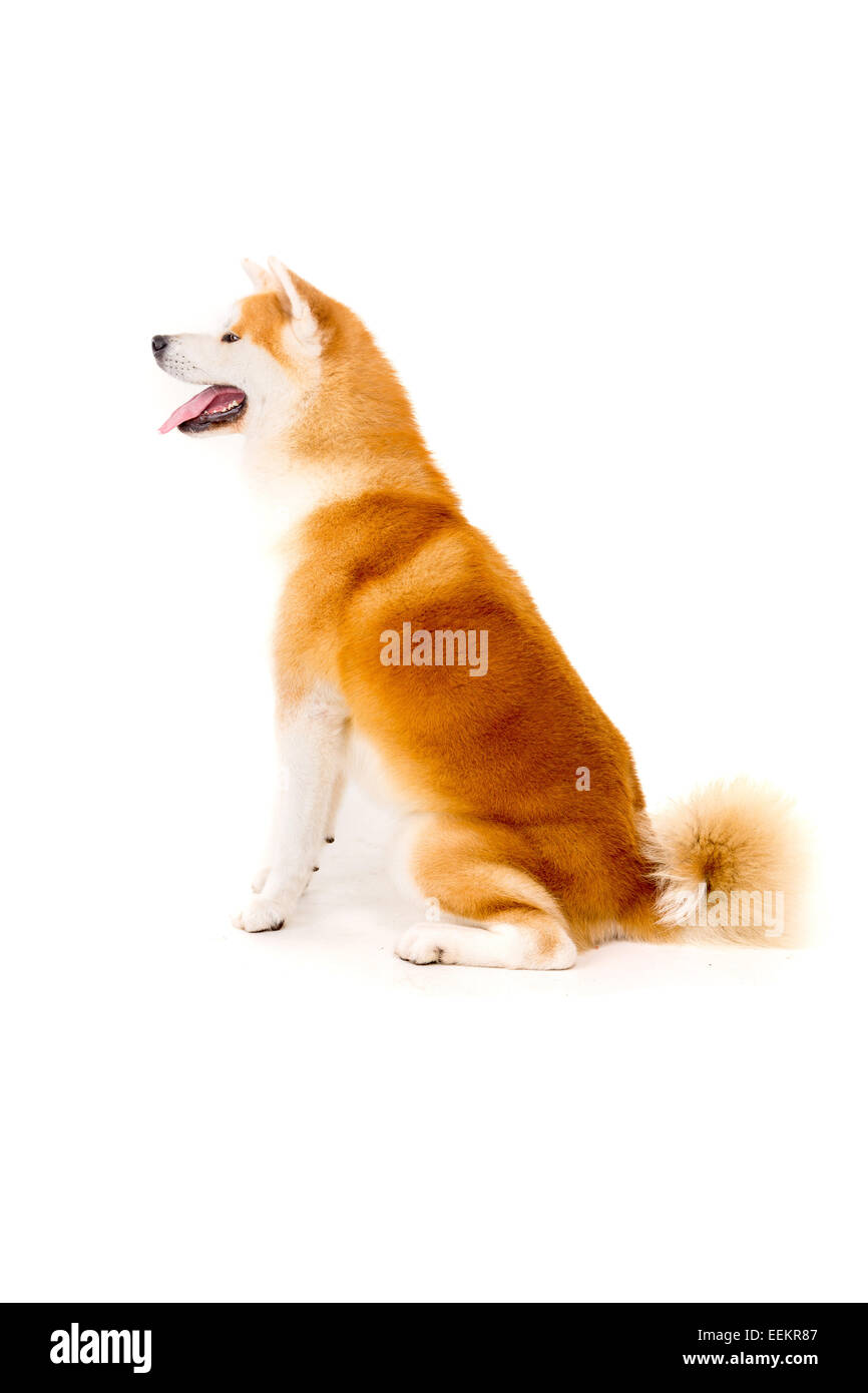 Summer holidays portrait young beautiful Cut Out Stock Images ...