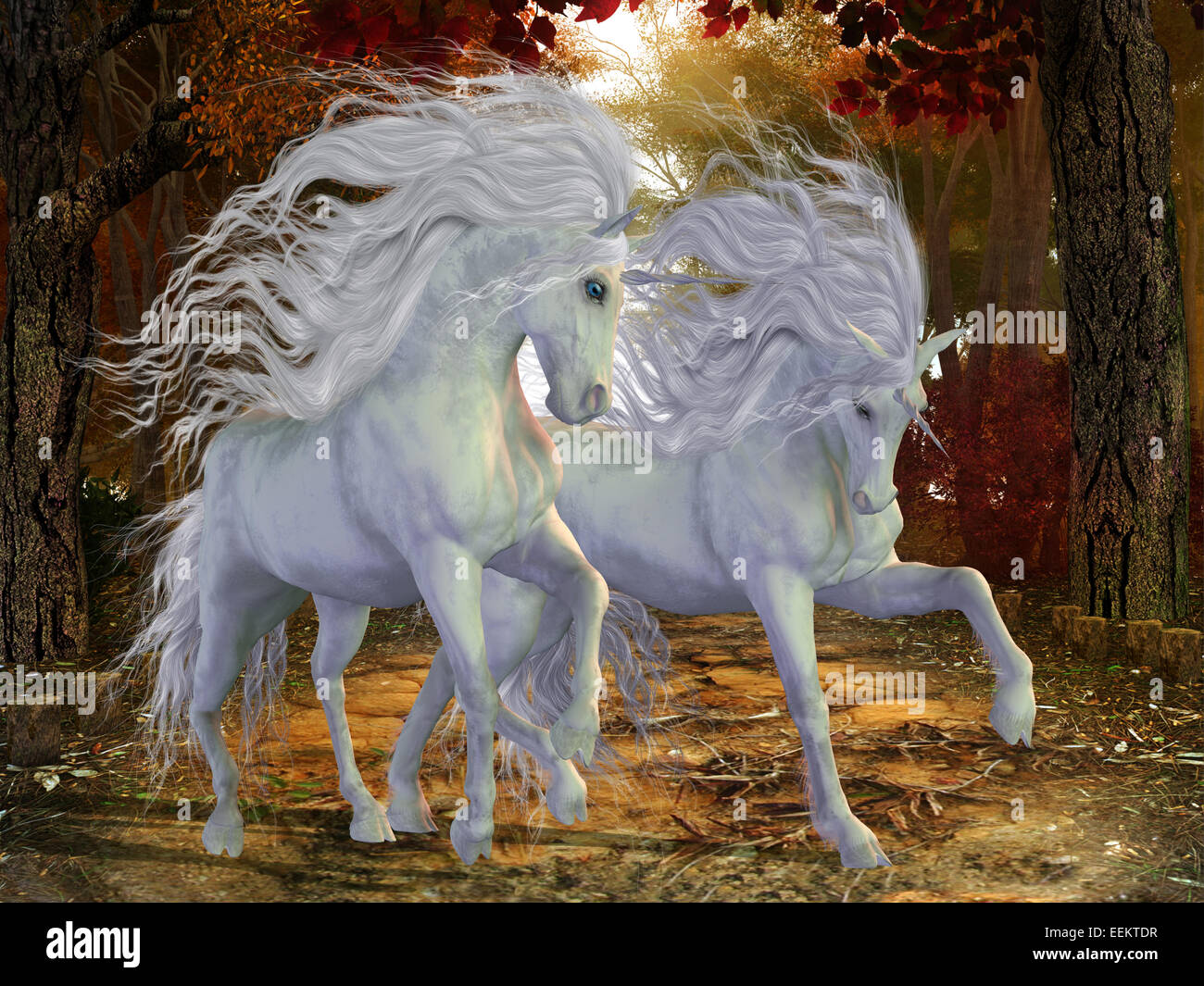 Magical unicorn hi-res stock photography and images - Alamy