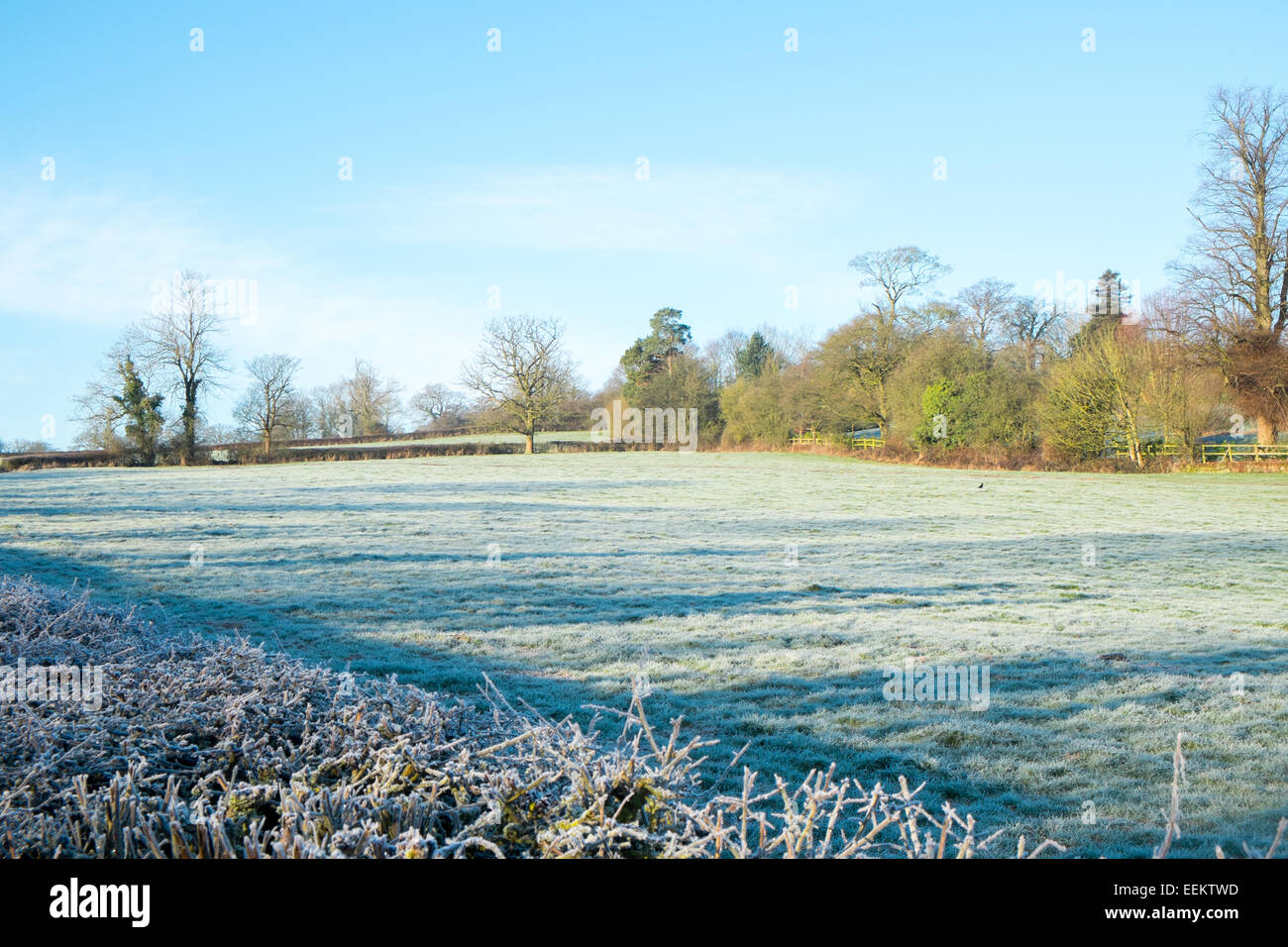 english countryside in january around the village of Shottle in the ...