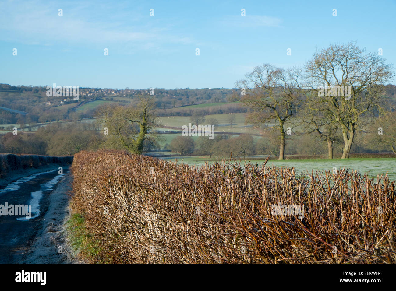 english countryside in january around the village of Shottle in the ...
