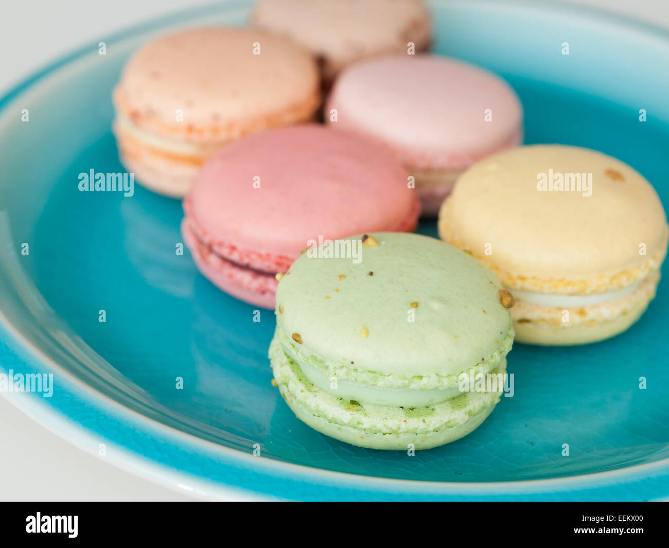 A plate of colourful French macarons from the Duchess Bake Shop in ...