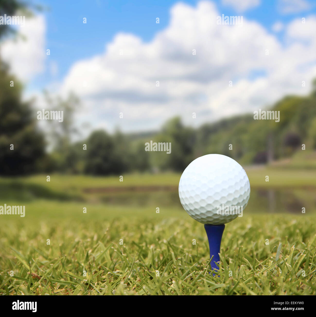 Club competition course forest hi-res stock photography and images - Alamy