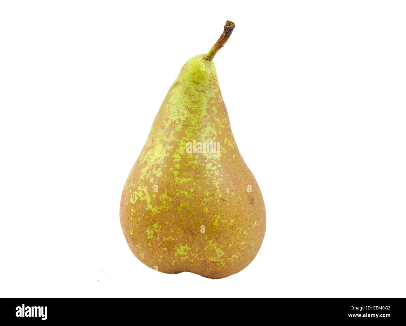 Front view of conference pear isolated on white Stock Photo - Alamy