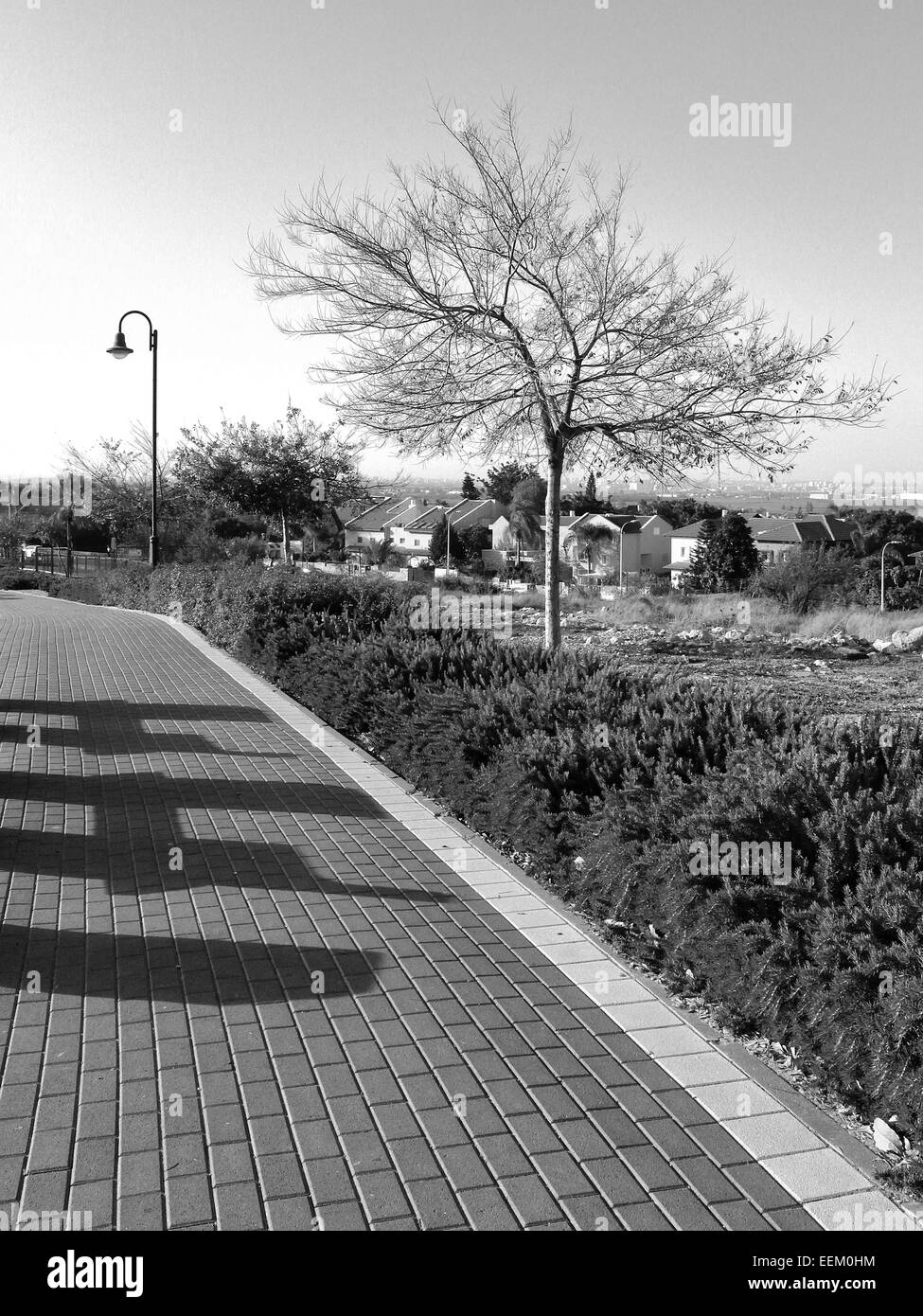 Winter israel Black and White Stock Photos & Images - Alamy