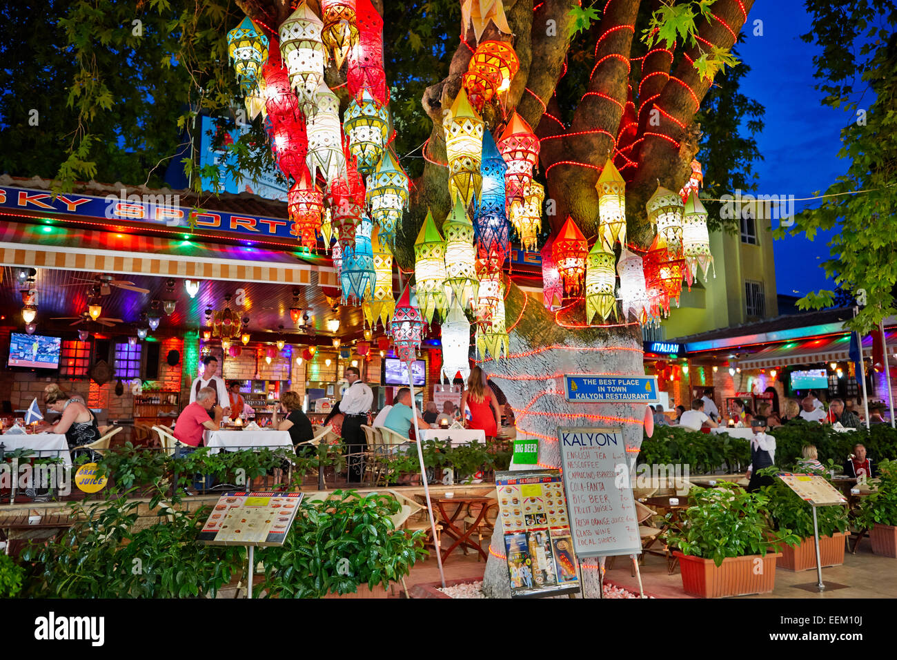 Old tree at Kalyon restaurant decorated with lanterns and illuminated ...