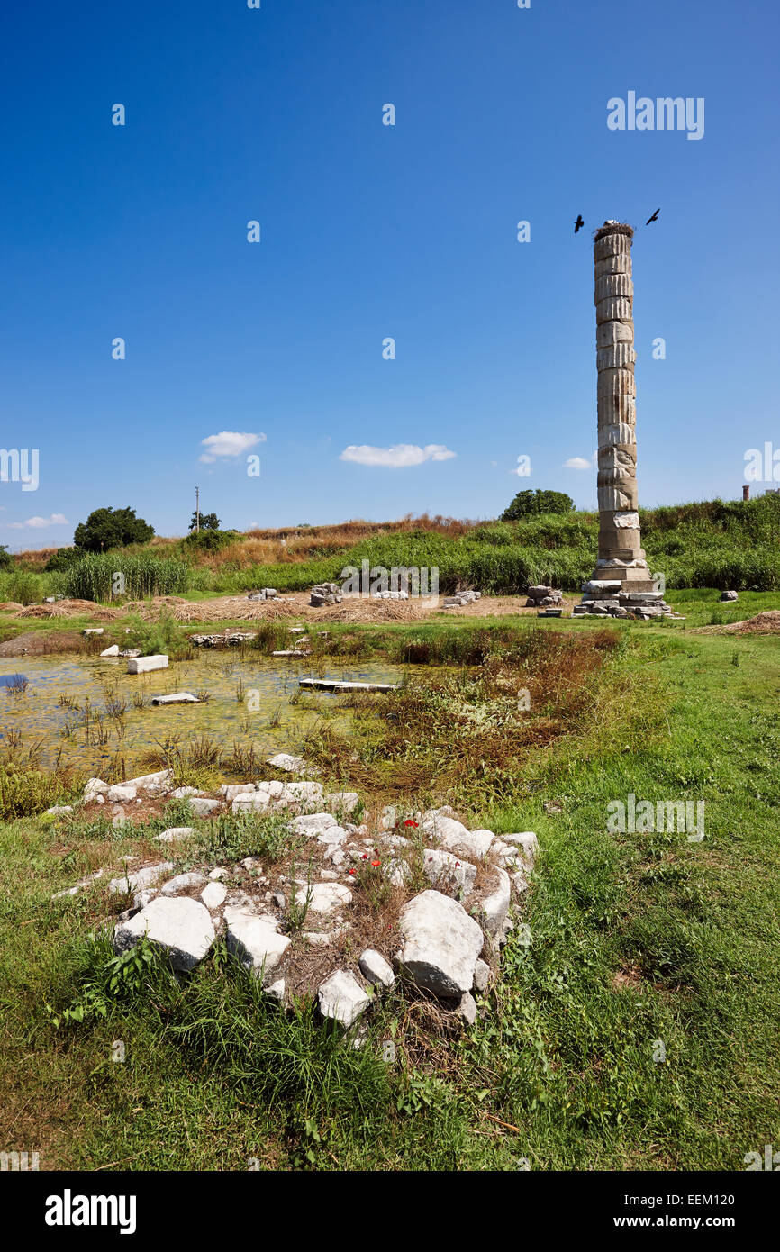 Ruins of the Temple of Artemis. Selcuk, Turkey Stock Photo - Alamy
