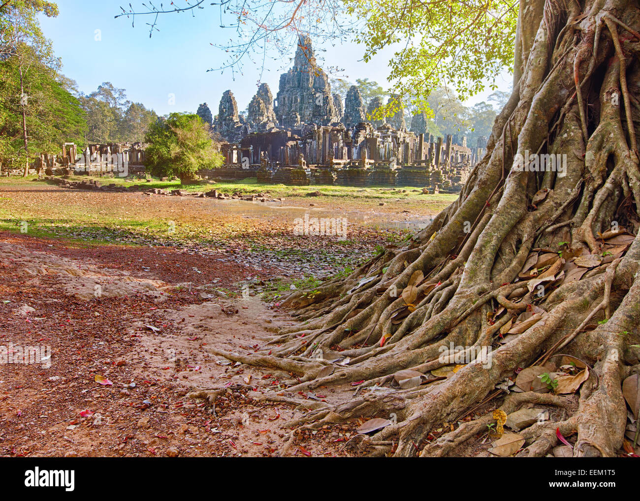 Bayon temple carving of the face with sunbeams through the rainforest ...