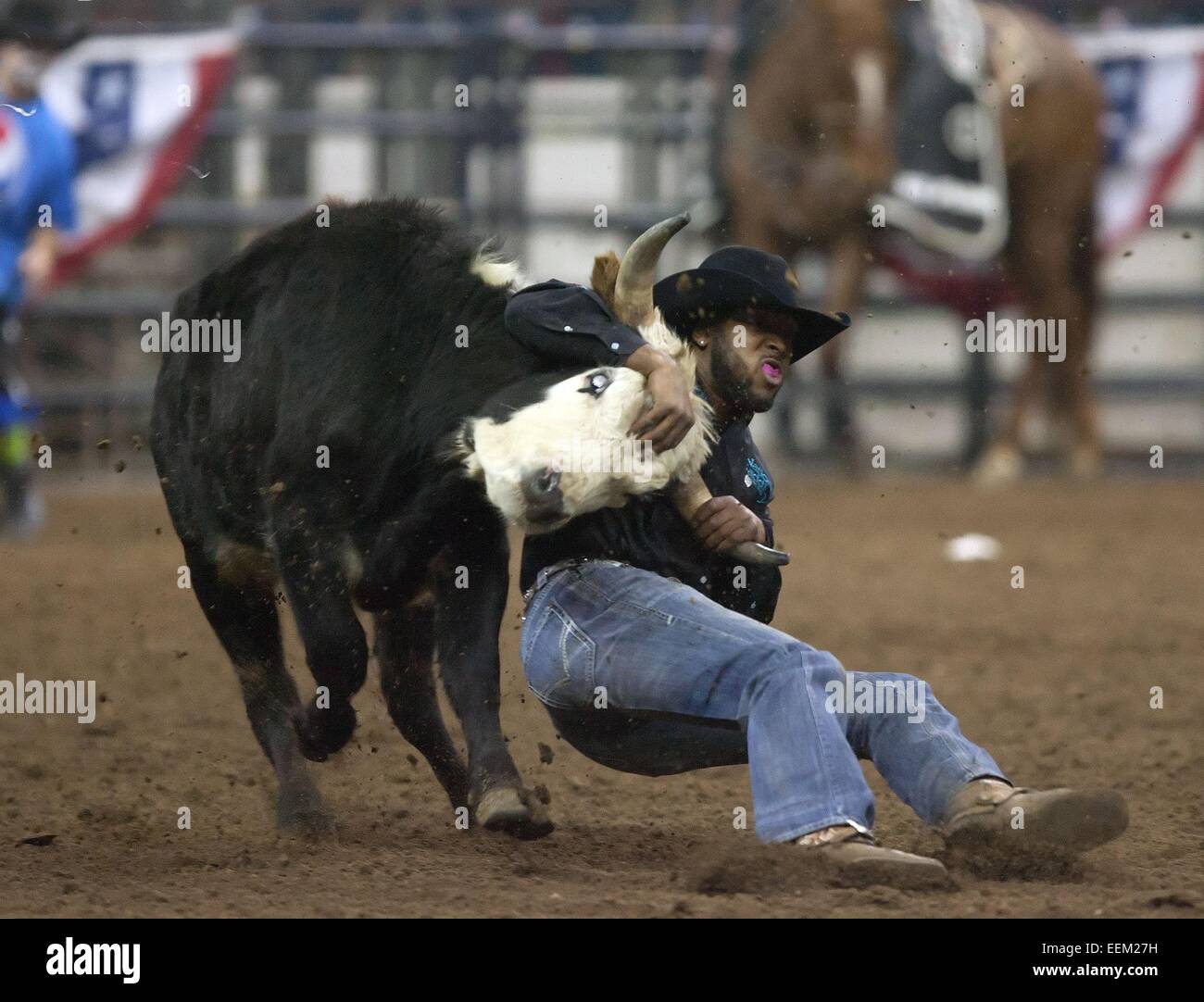 Denver, Colorado, USA. 19th Jan, 2015. TORY JOHNSON wrestles his Steer ...