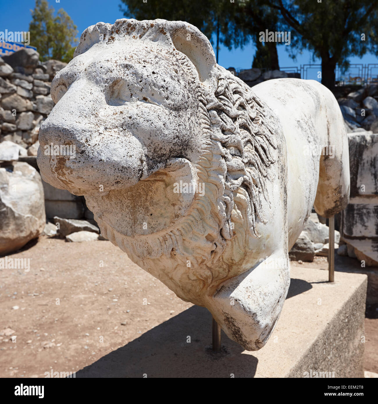Lion statue in the Temple of Apollo. Didim, Aydin Province, Turkey ...