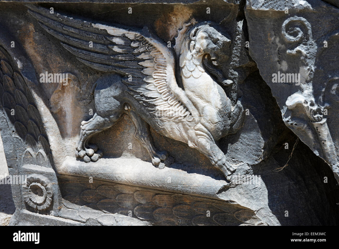 Gryphon bas-relief in the Temple of Apollo. Didim, Aydin Province ...