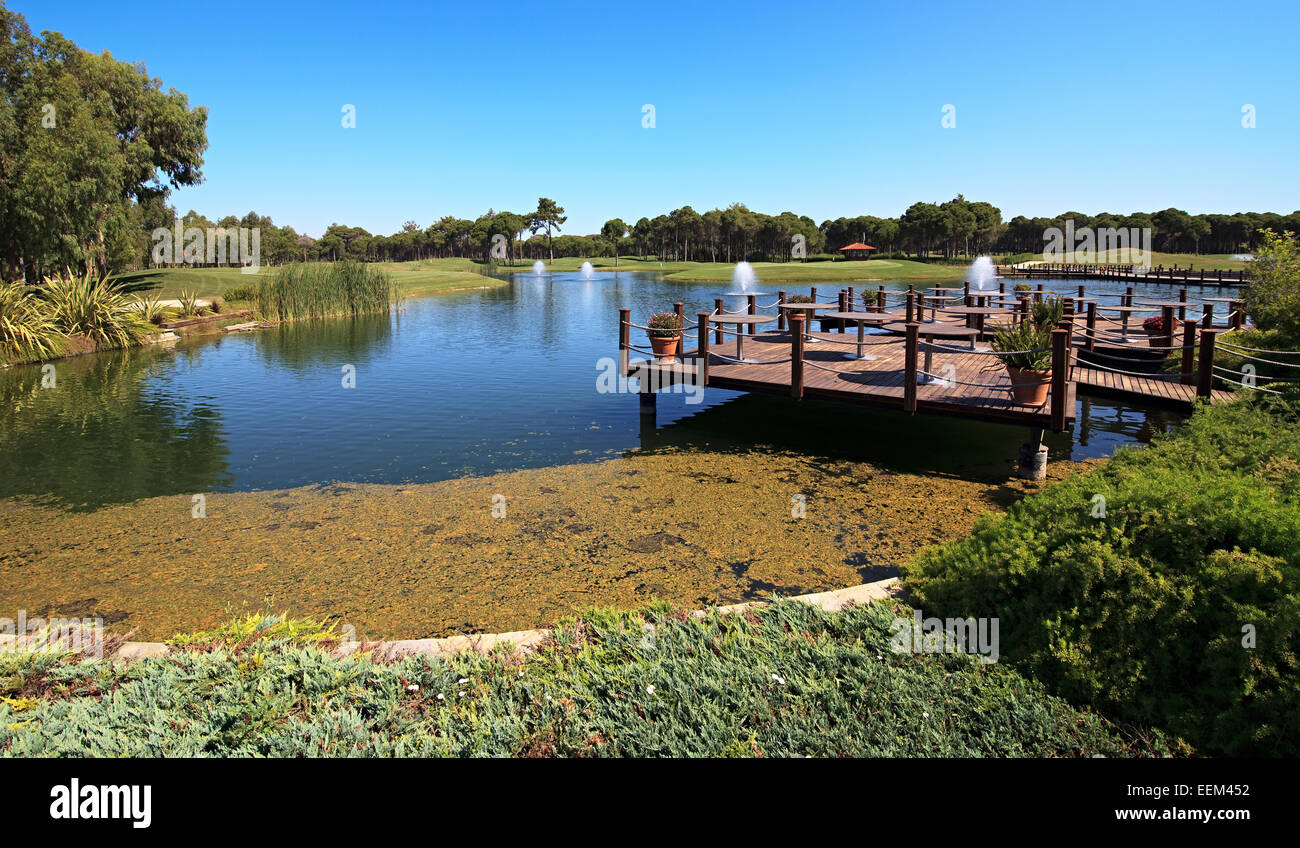 Cafe on the artificial pond Stock Photo - Alamy