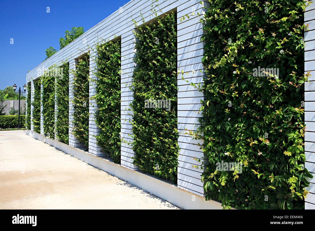 Fence with a plant Stock Photo - Alamy