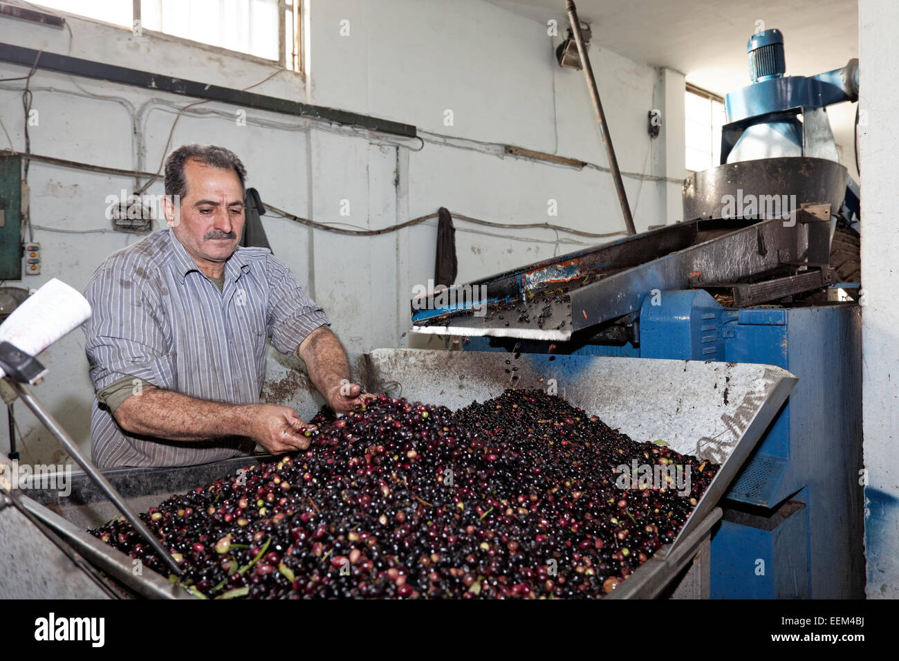 Sorting and processing hi-res stock photography and images - Alamy