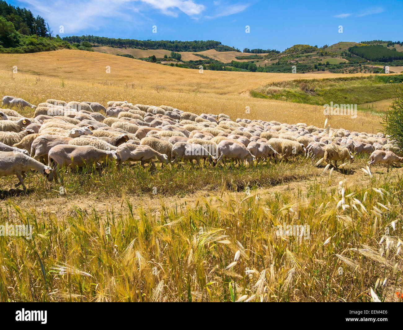 Sicily region hi-res stock photography and images - Alamy
