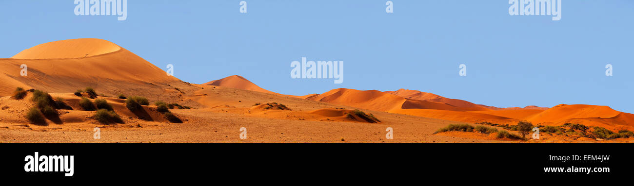 Panoramic desert view hi-res stock photography and images - Alamy