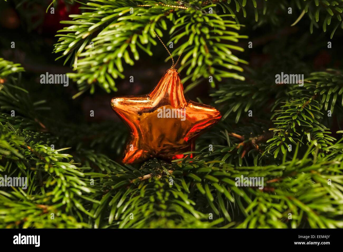 Christmas decoration on Christmas tree, Germany Stock Photo - Alamy