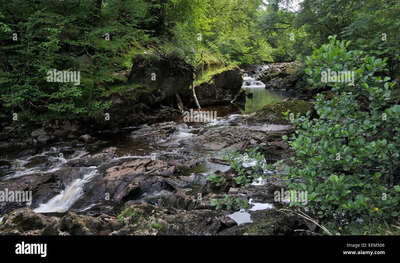 Spean bridge scotland woodland hi-res stock photography and images - Alamy