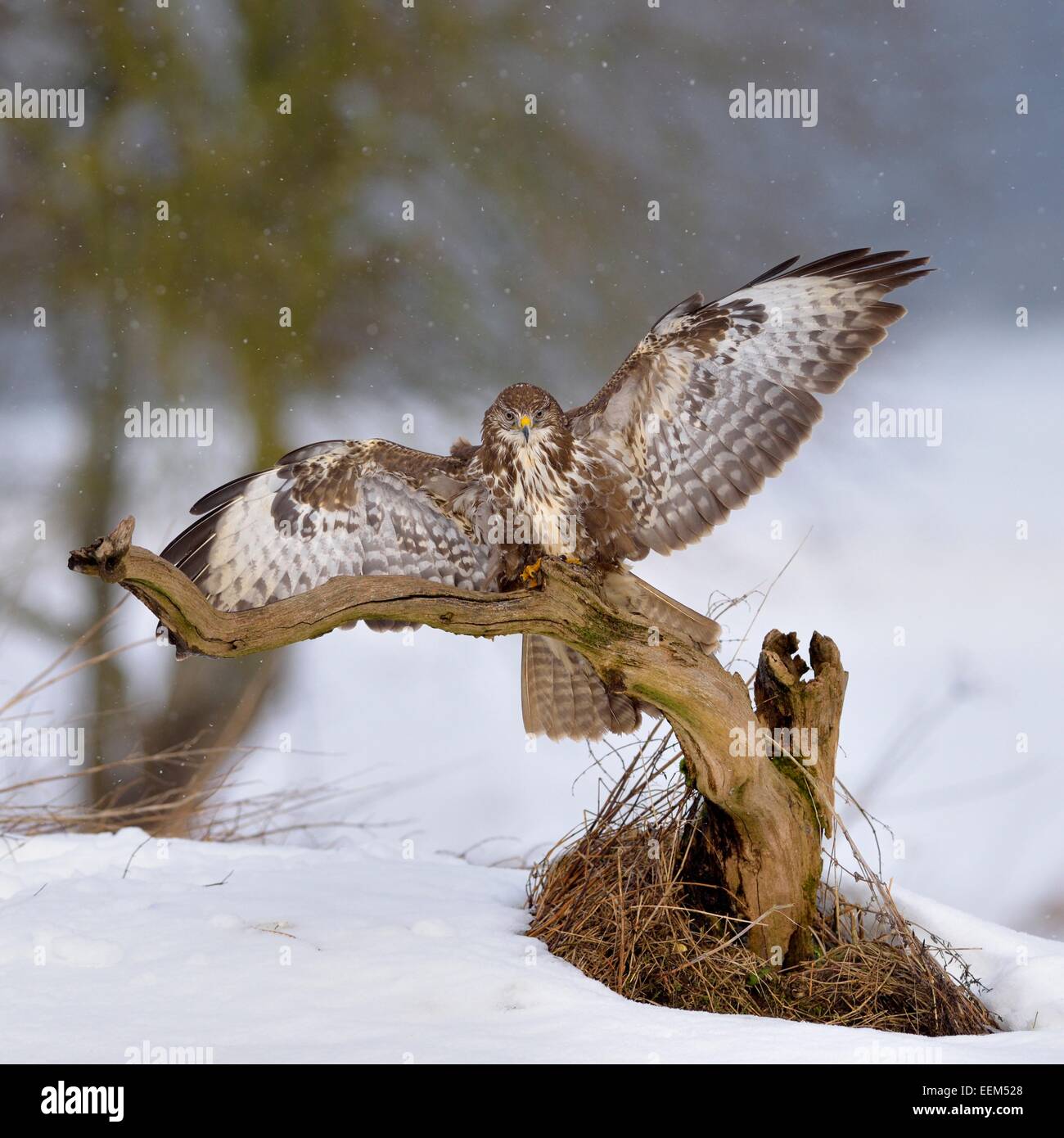 Landing in dark hi-res stock photography and images - Alamy