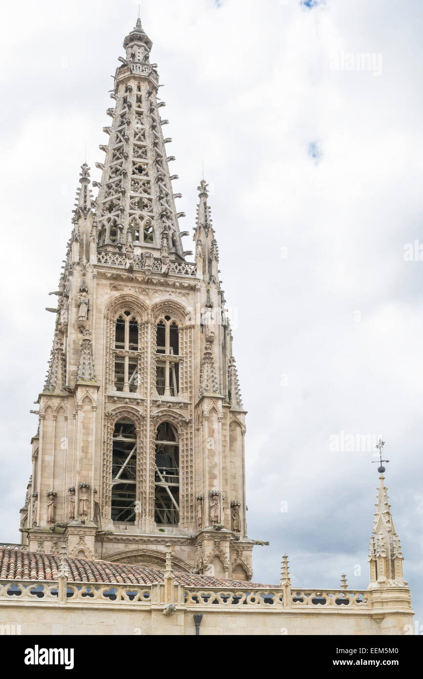 Gothic tower of a catholic cathedral, architectural detail Stock Photo ...