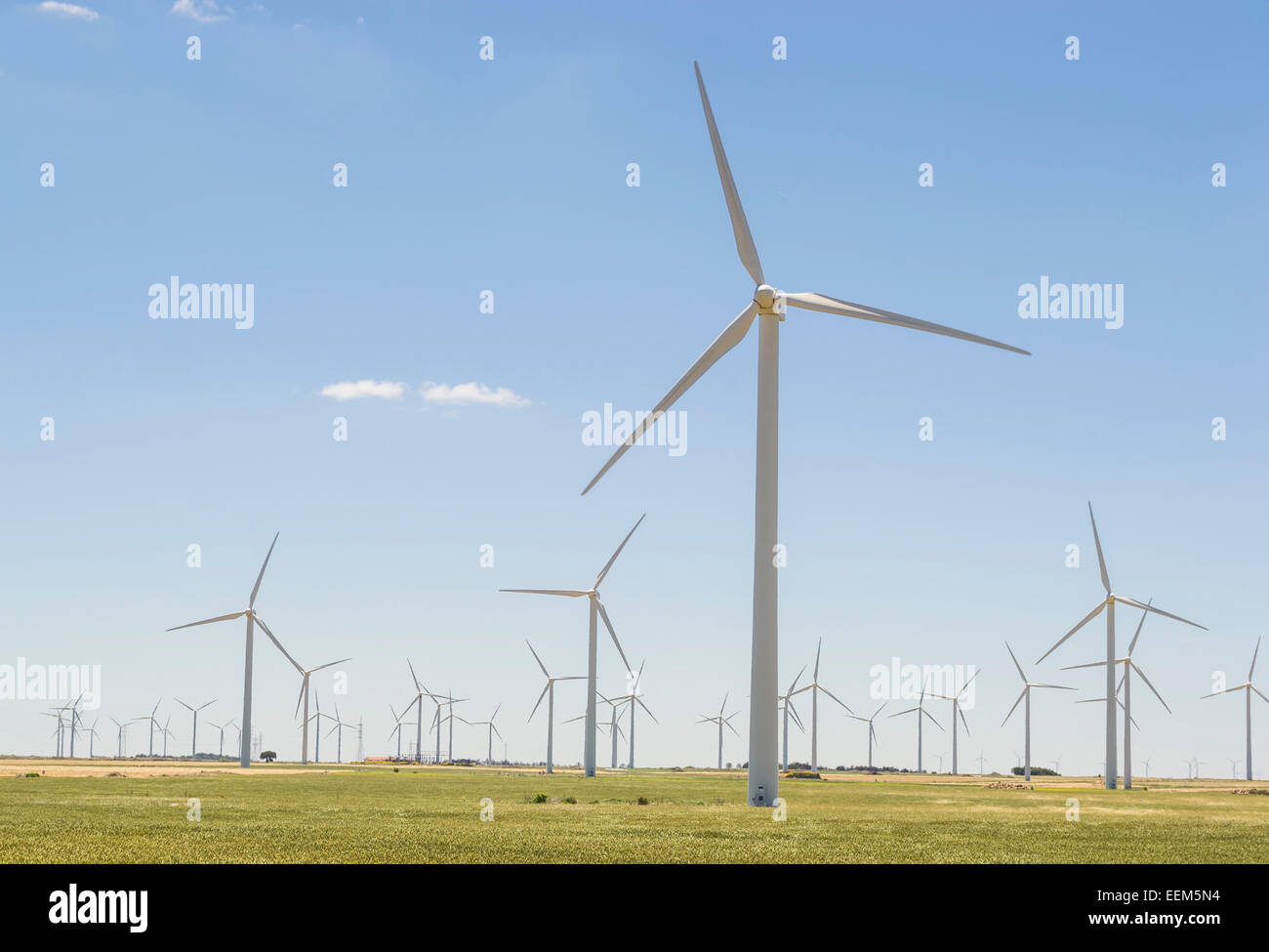 Wind turbine network , spread over a wide area harvesting wind power ...