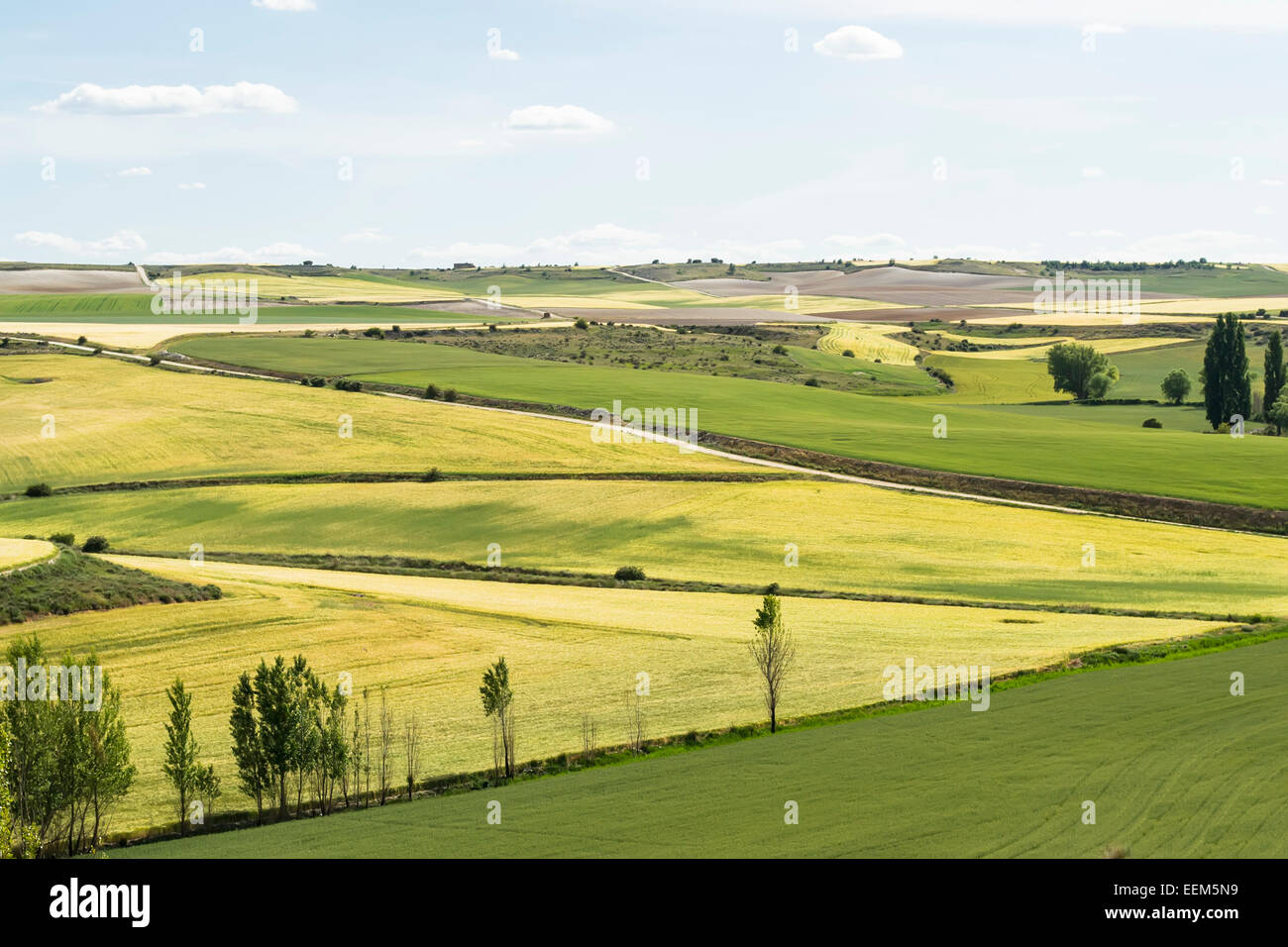 Cultivated land with different type of crops on hilly agricultural ...