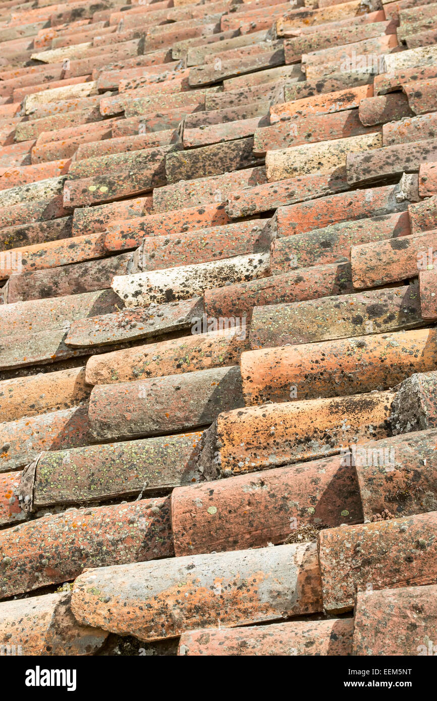 Brick shingles roof covered with moss and lichens, background Stock ...