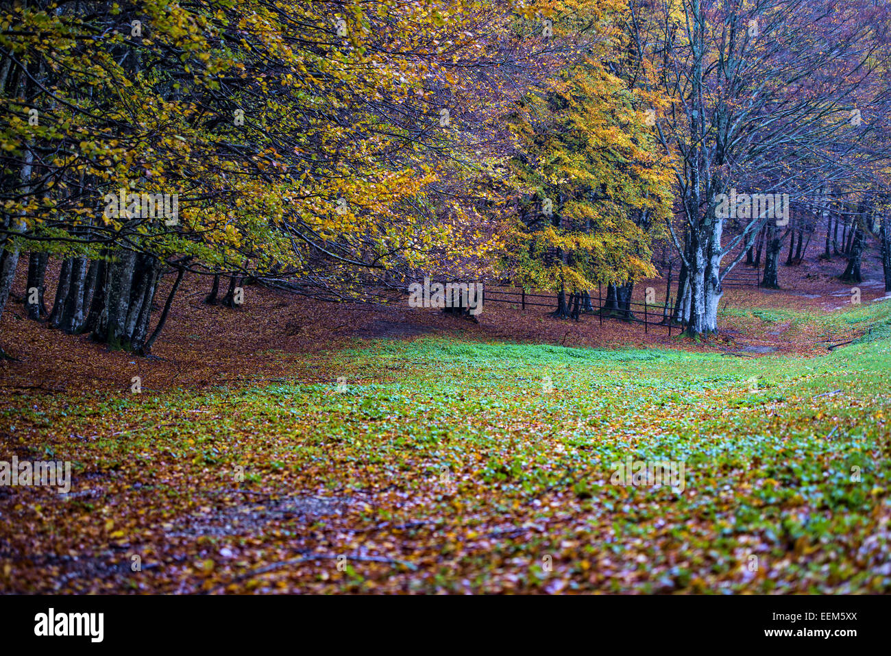 Pian delle macinare hi-res stock photography and images - Alamy