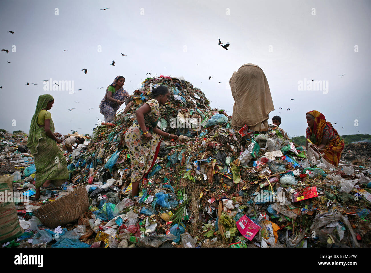 The garbage scavengers pick sellable items from the filthy waste of ...