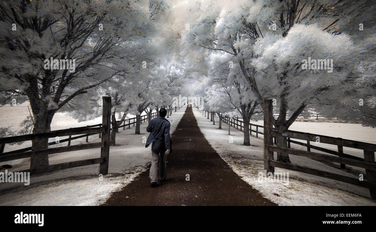 Man walking down road Stock Photo - Alamy