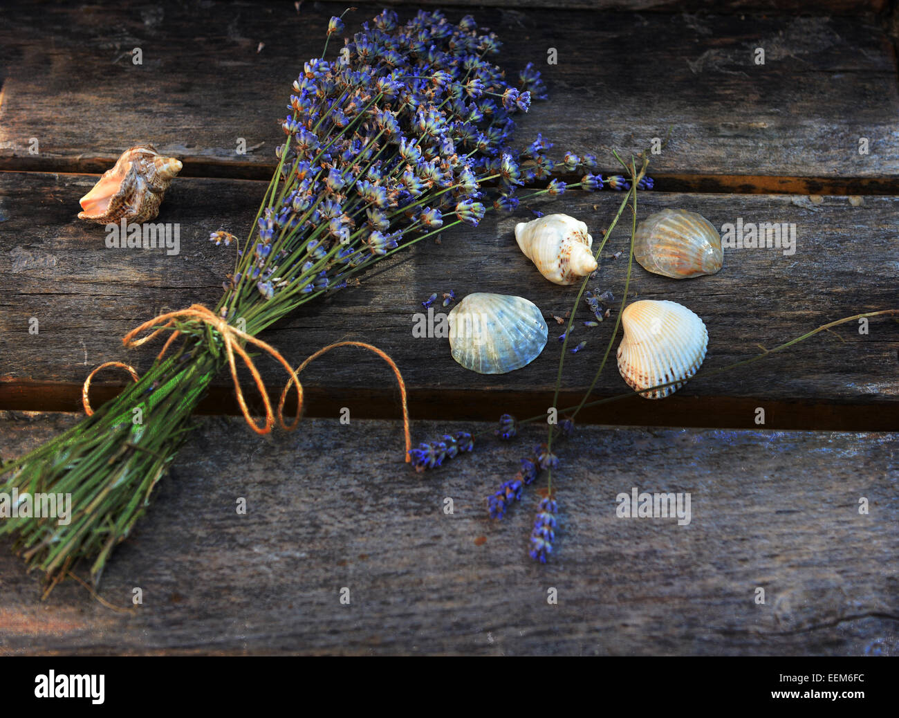 Bunch of lavender and seashells on wooden planks Stock Photo - Alamy