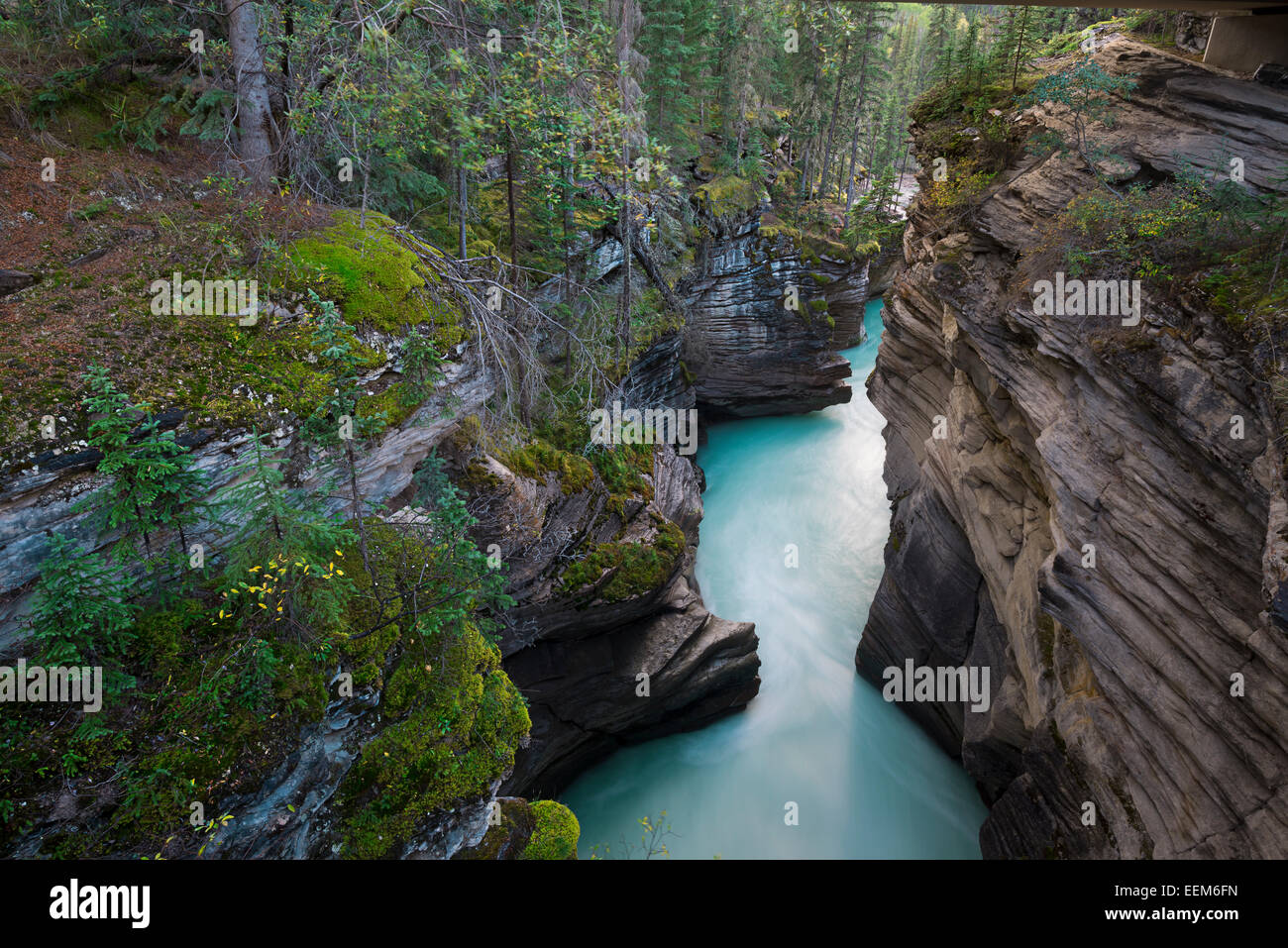 Canada, Alberta, River running through gorge Stock Photo - Alamy