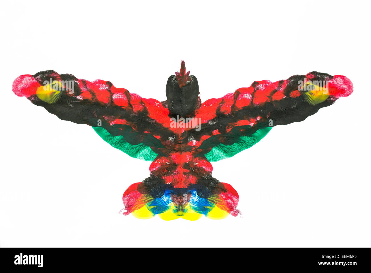 Multicolored abstract shape similar to an exotic bird made from ...