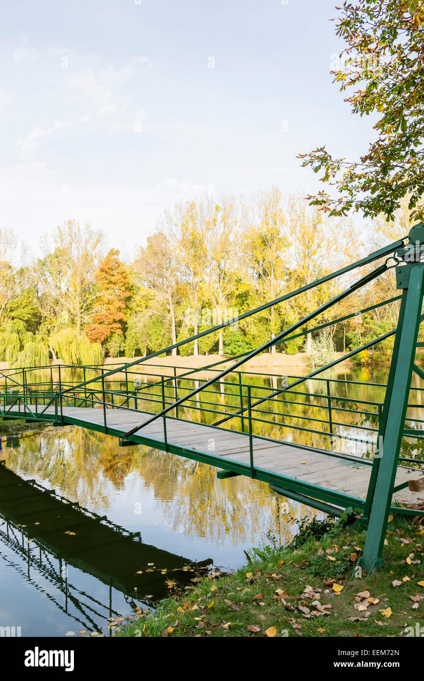 Metallic frame bridge over a small lake with its reflection on water ...