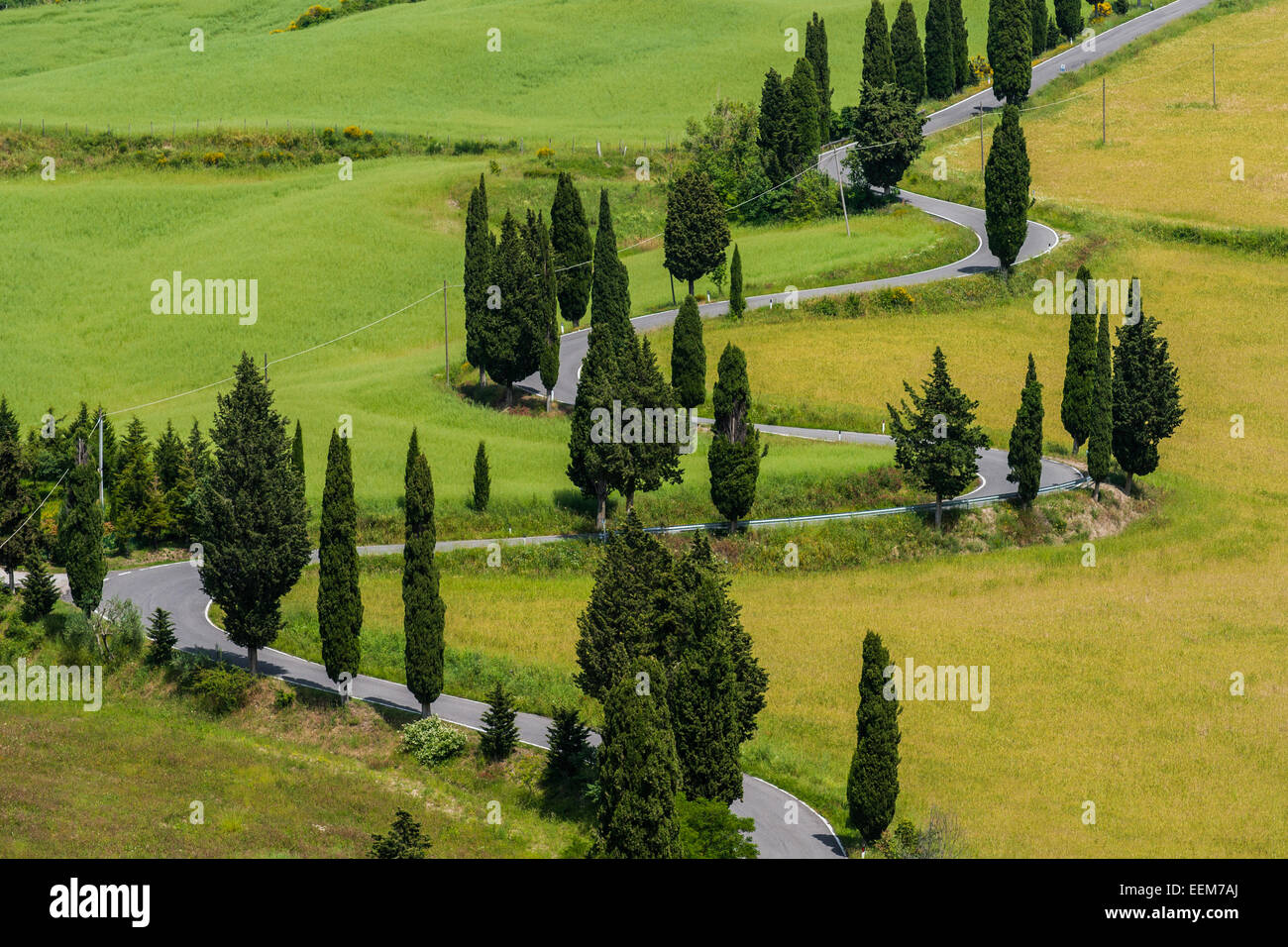 Small trees along winding road hi-res stock photography and images - Alamy
