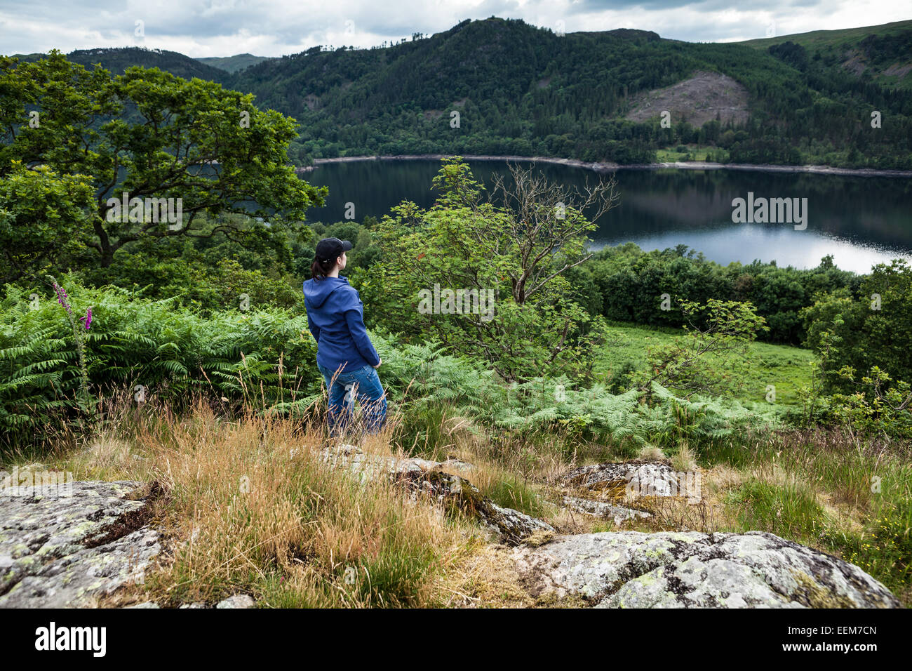 UK, England, Lake District, Woman standing among bushes looking at view ...